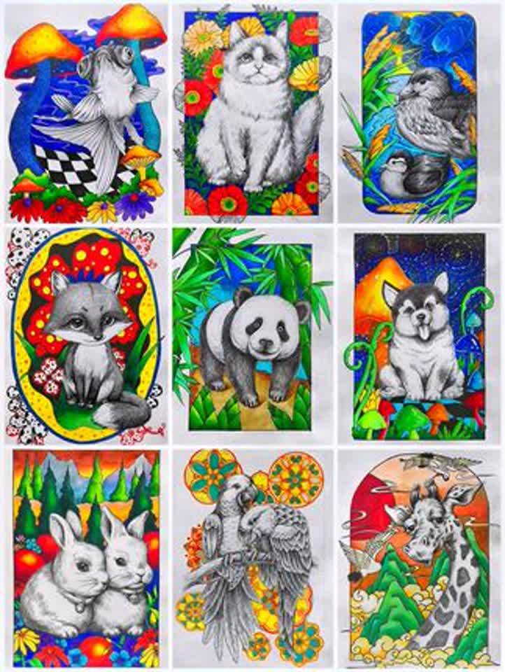 暑期美术课|创意素描动物主题画-内容新颖,有步骤临摹更方便~#画画 #...