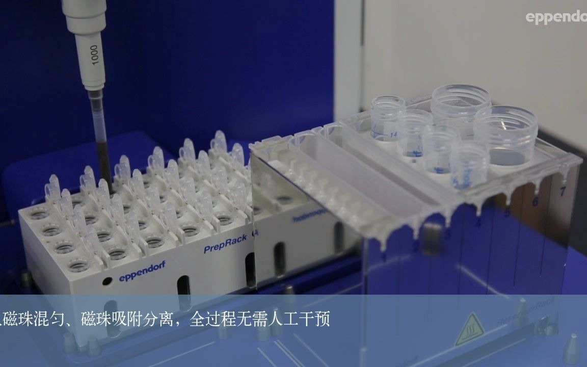 【实验技巧】二代测序文库构建如此简单——全自动二代测序文库构建...