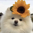 蛋挞说影视 