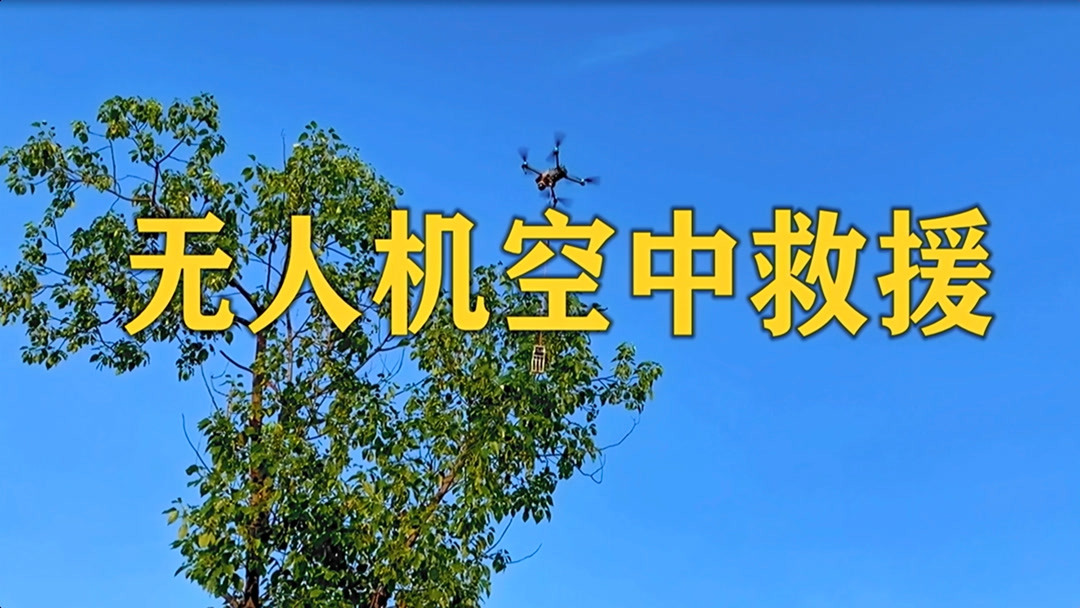 无人机挂树上怎么办?万元无人机空中救援