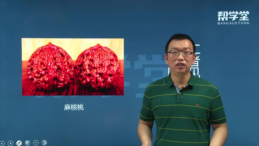 杨涛-高鸿业《西方经济学》第九章、一般均衡论和福利经济学(2)