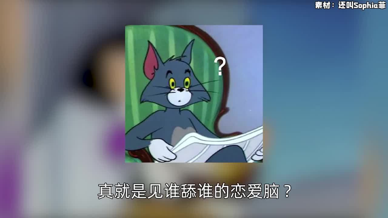 猫和老鼠被博主完美拟人?各路母猫齐变身!网友:汤姆竟是我自己