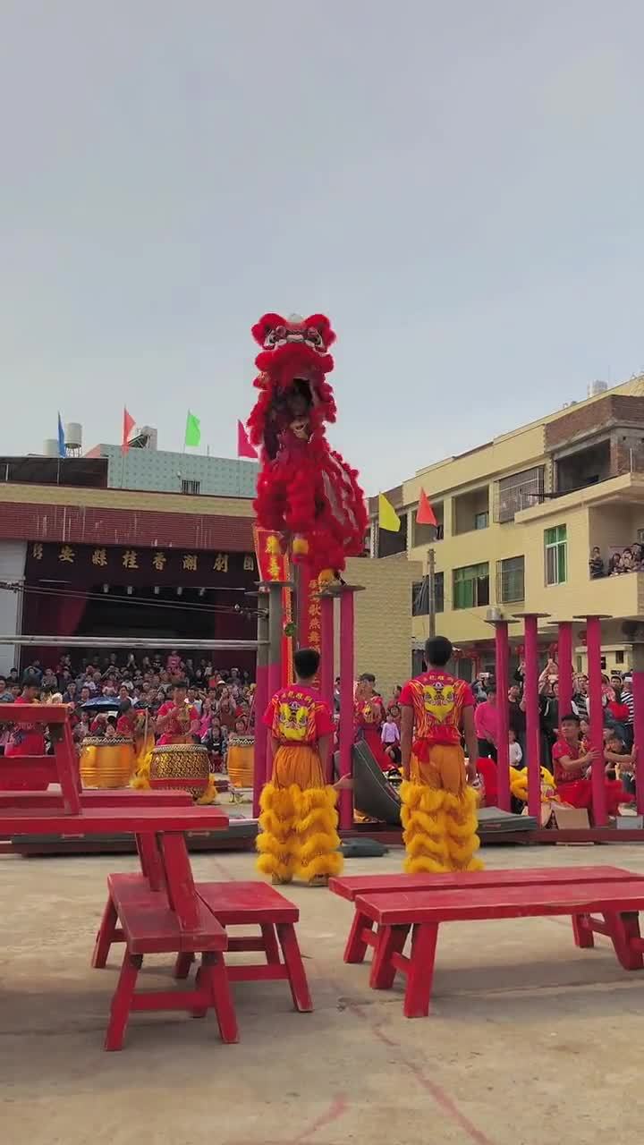 春节马上就要来了,热热闹闹的舞狮表演送给大家