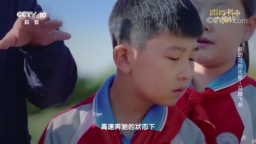 [跟着书本去旅行]国宝铜奔马究竟快到什么程度呢?看它脚下就知道!