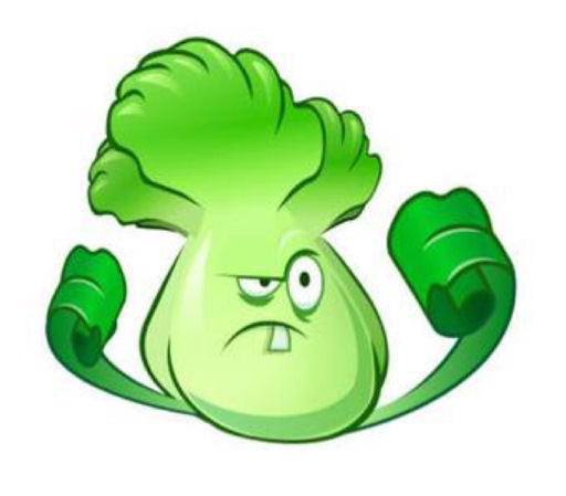 一棵神奇的白菜 