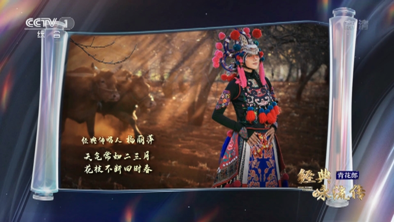 [经典咏流传第五季]杨丽萍为你唱经典《滇海曲》