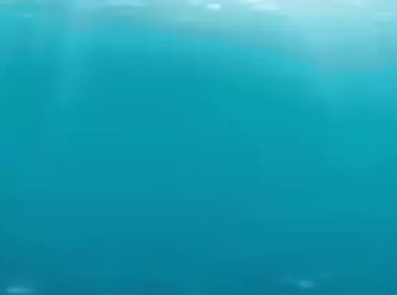 氧净--氧洗时代!