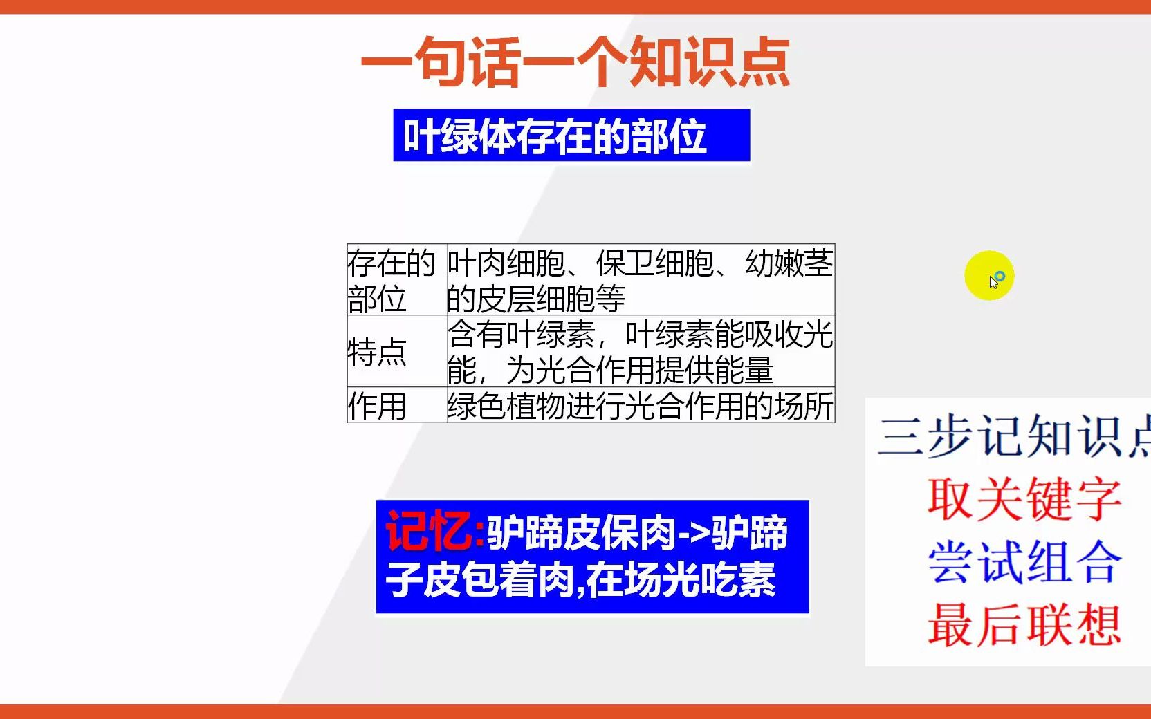 【七年级上册生物知识点记忆】叶绿体存在的部位