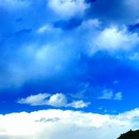 芳华荒诞我不负你 