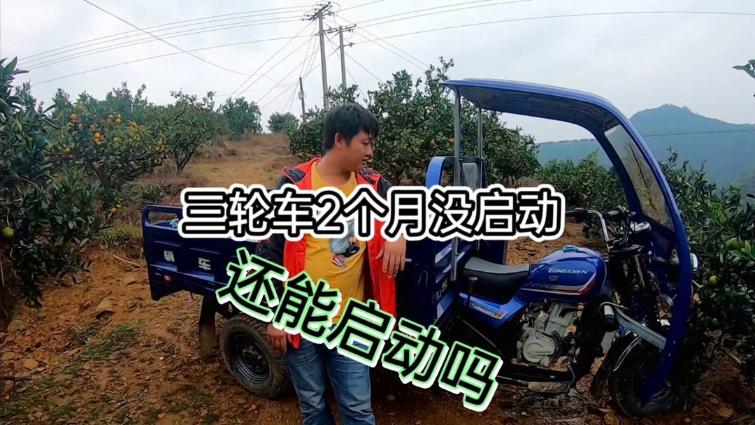 三轮车2个月没启动,今天换好机油整顿好,马上要开始拉柑橘了