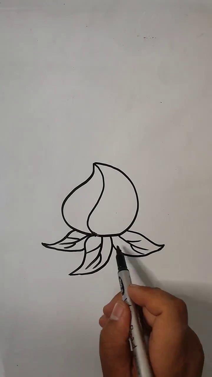 简笔画画一颗桃子万粉扶持计划简笔画