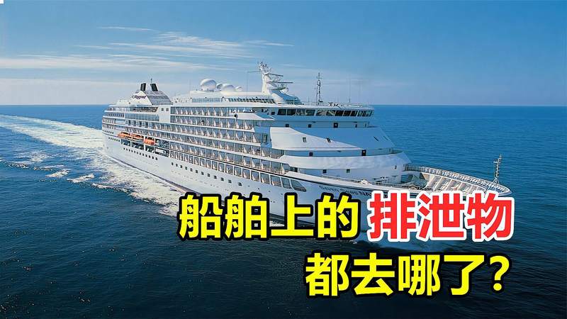 船舶上的排泄物如何处理?一两吨的粪便,能直接排入海中喂鱼吗?