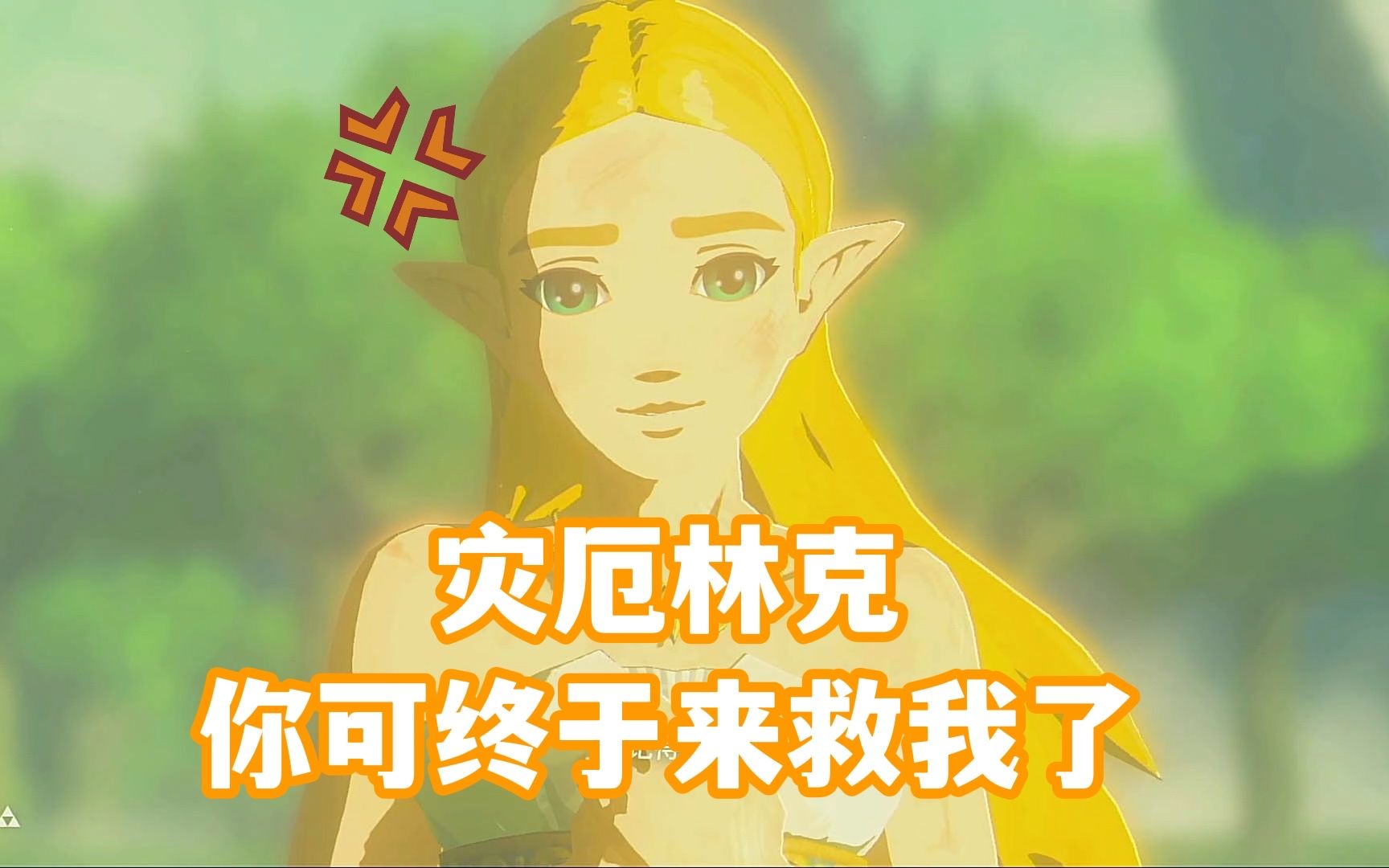 塞尔达:林克你还记得我吗? 林克:原来我不叫塞尔达?