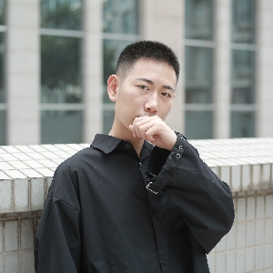 平平无奇赵哥哥 