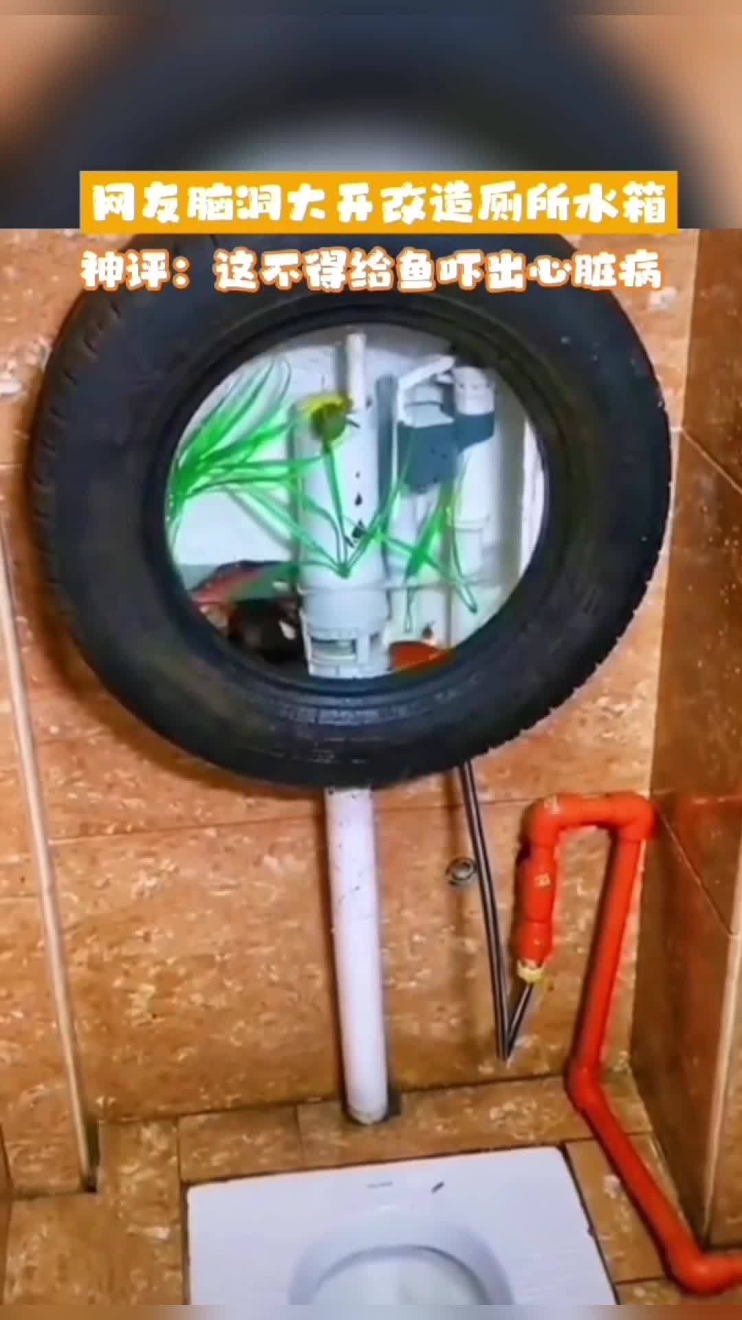 网友脑洞大开改造厕所水箱,神评:这不得给鱼吓出心脏病 脑洞大开 奇葩...
