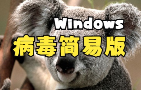 易语言做的病毒(简易版)