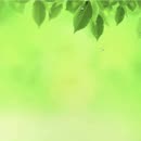 幸福启点 