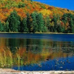 大刘兄弟求生术