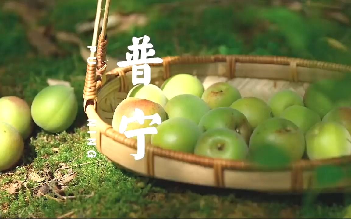 “文字力量”房琪:解读中国古诗词出口成章,孙楠张含韵都看懵了