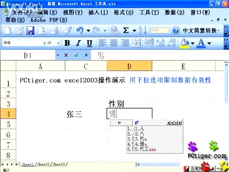 用下拉选项限制数据有效性 PCtiger教excel2003