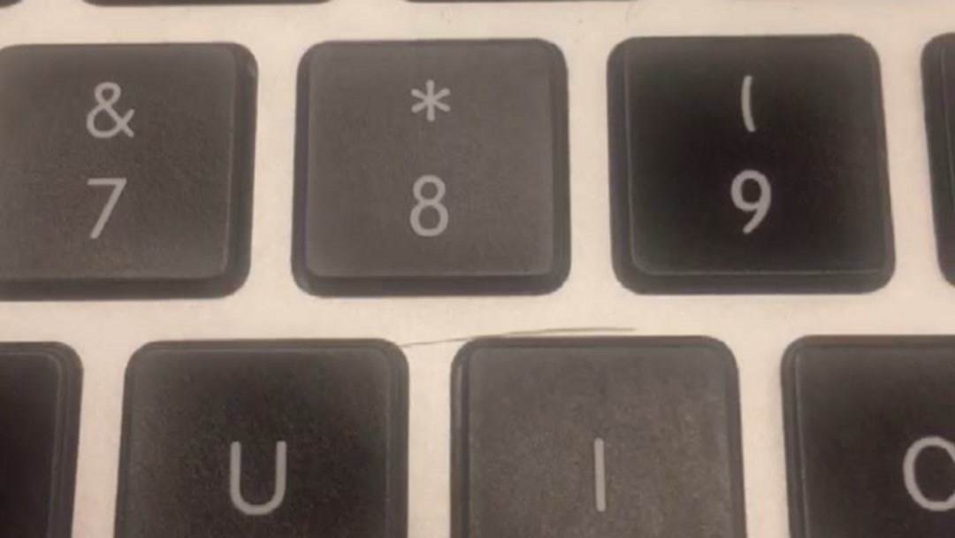 叶圣陶先生