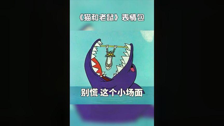 《猫和老鼠》超搞笑表情包 哈哈哈 真的巨好笑!