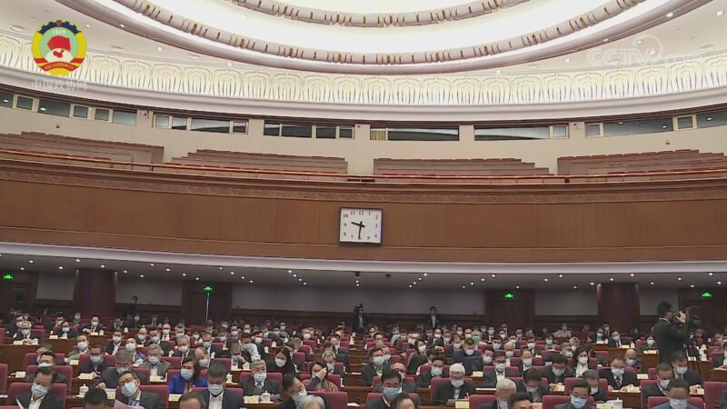 [政协大会发言]王路:奋力推动 如期实现碳达峰碳中和