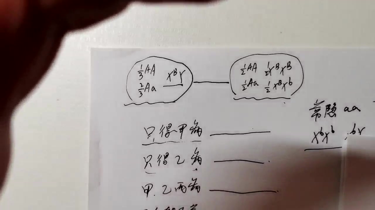 高中生物一轮复习必修一 1.54伴性遗传第七节