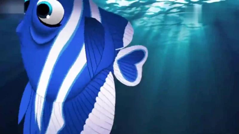 329海底世界认识各种小鱼,英文原声亲子动画