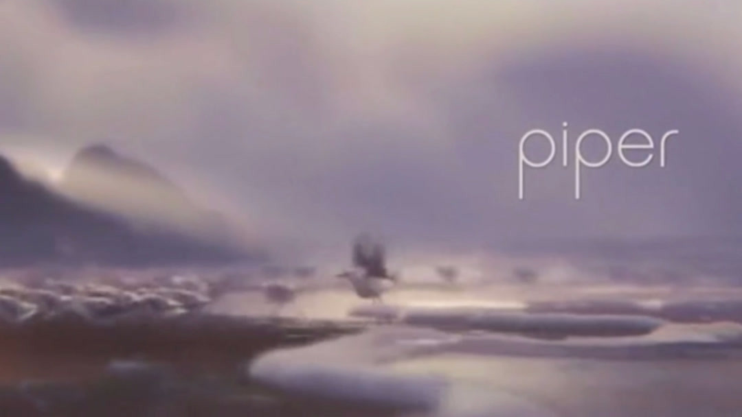 皮克斯动画片《鹬》