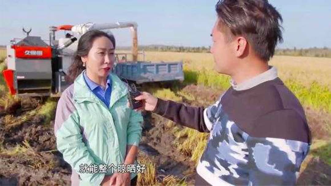 有机水稻种植5000亩,这样的大米不配菜也好吃!