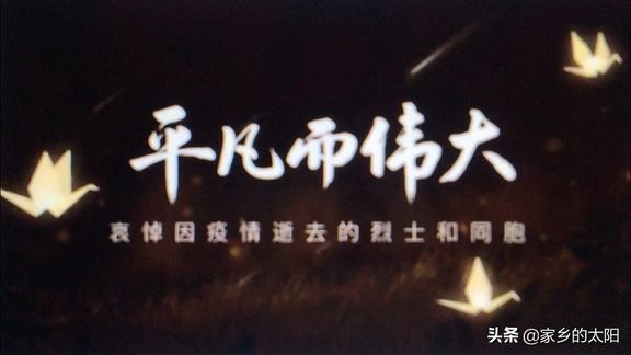 致敬英雄,共悼逝者,让我一同哀悼因疫情逝去的烈士和同胞