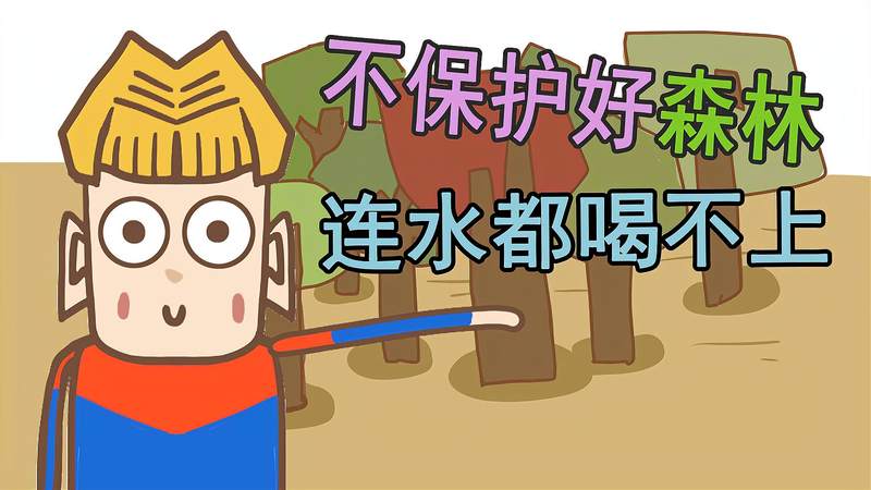 「科普」森林有什么作用?不重视森林,人类连水都喝不上了