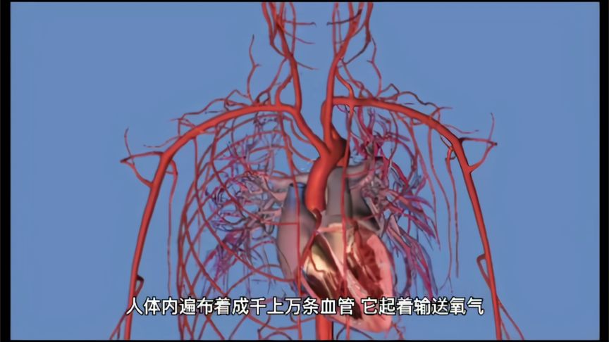 血管狭窄的人注意:厨房里这3种调味品少碰,加速血栓形成!