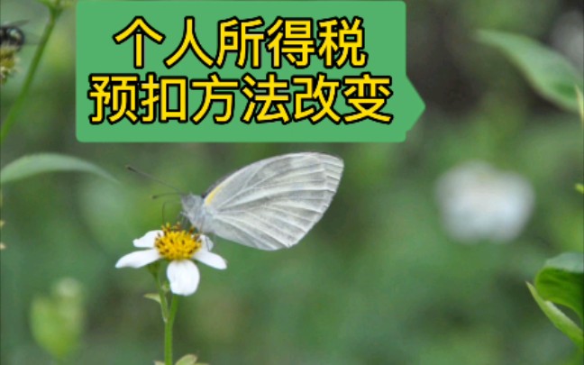 年收入不到6万的人士,2021年开始个人所得税扣缴方法有改变