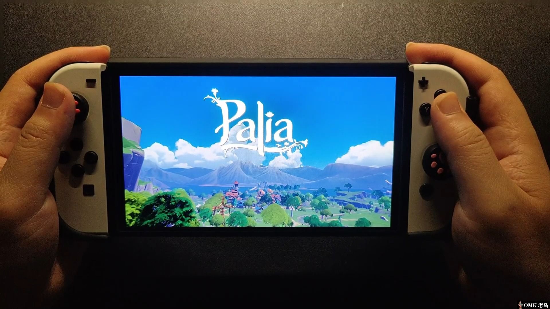 Switch OLED 帕利亚 Palia:服务器连接还不太稳 轻微卡顿源自网络...