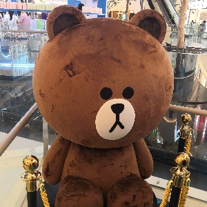 霁生yy 