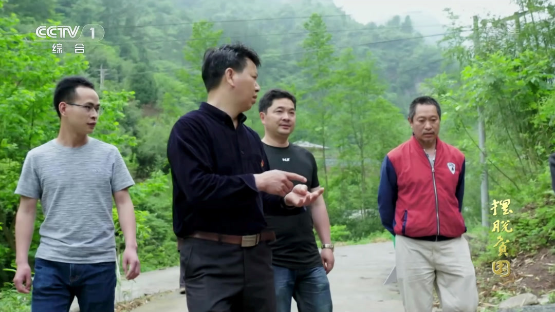 《摆脱贫困》第二集 精准施策