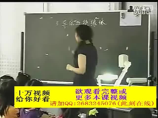 《导体和绝缘体》_沈霞 小学科学四年级优质课