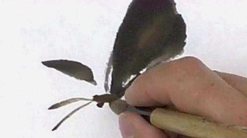 国画水墨画艺术:好靓的一只蝴蝶,你学会了吗?