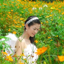 听春声音 