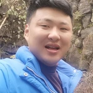 宁涛VOLG 