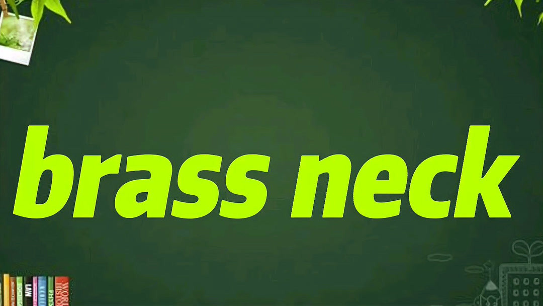brass是黄铜,neck是脖子,那brass neck是什么意思?