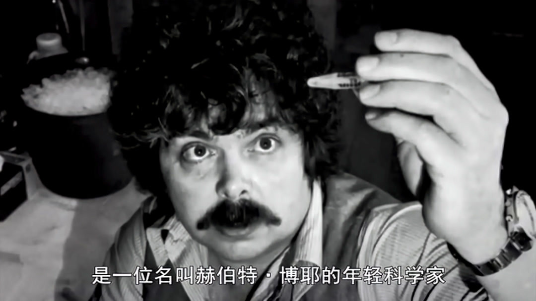遗传物质在细胞间表达(基因工程)