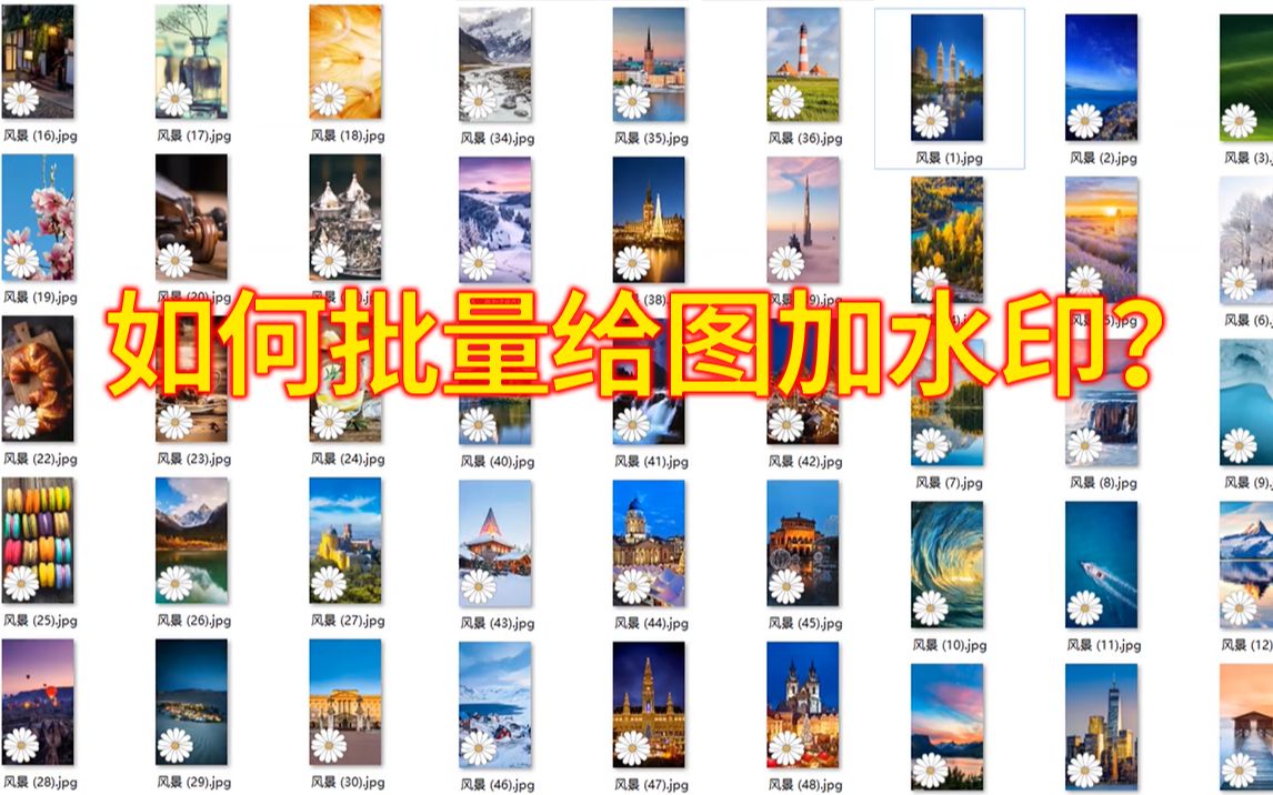 【ps教程】ps干货:大批量的照片需要加水印怎么弄又快又稳?