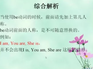 be动词微课王天珍