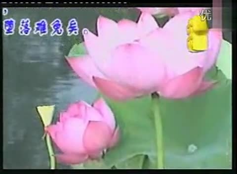 视频: 王丽华-鬼道众生附体3