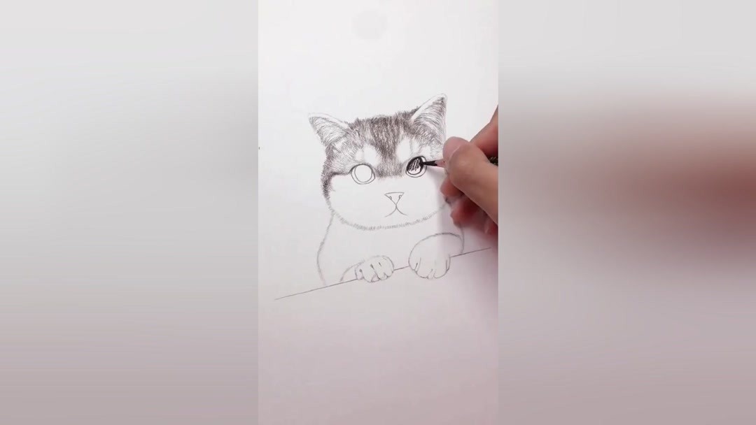 小猫咪画法,简单易学,初学者看了也能学会