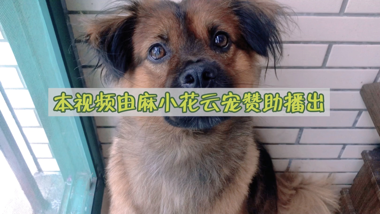 管理会计如何赋能数智化时代的企业