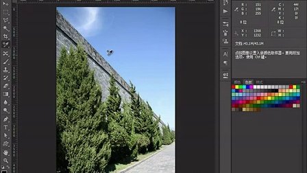 photoshop 自学教程 ps基础教程 颜色取样器工具